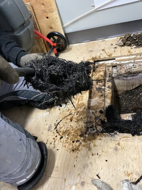 Comment enlever les racines dans les drains? | Drain Fortin